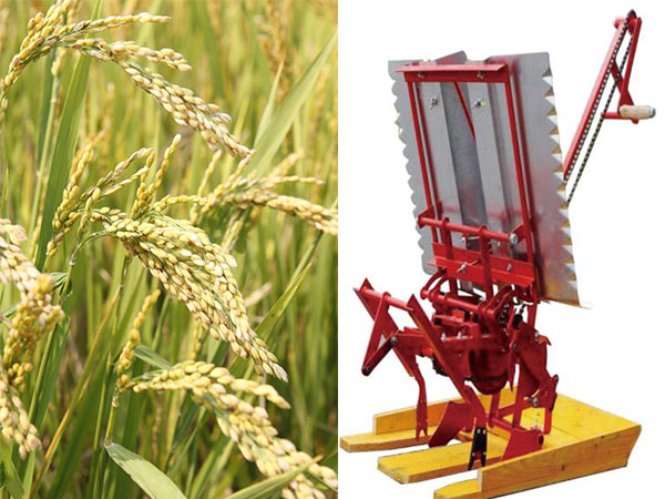 Best quality Operated Paddy Transplanter/paddy planter/rice planting ...